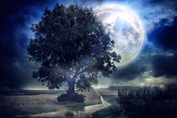 Happy HO Heartfullness Meditation, Osho meditation center - Happy HO